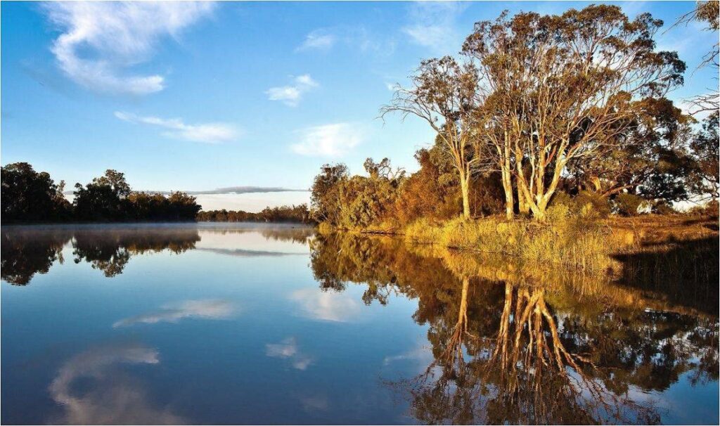 Rio Murray – La Boutique del Powerpoint