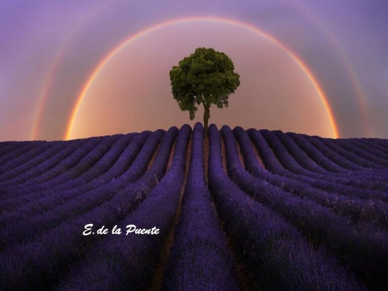 En 3 dimensiones – La Boutique del Powerpoint